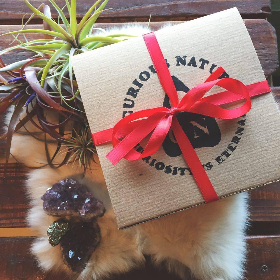 Curious Nature’s Top 10 Gift Ideas