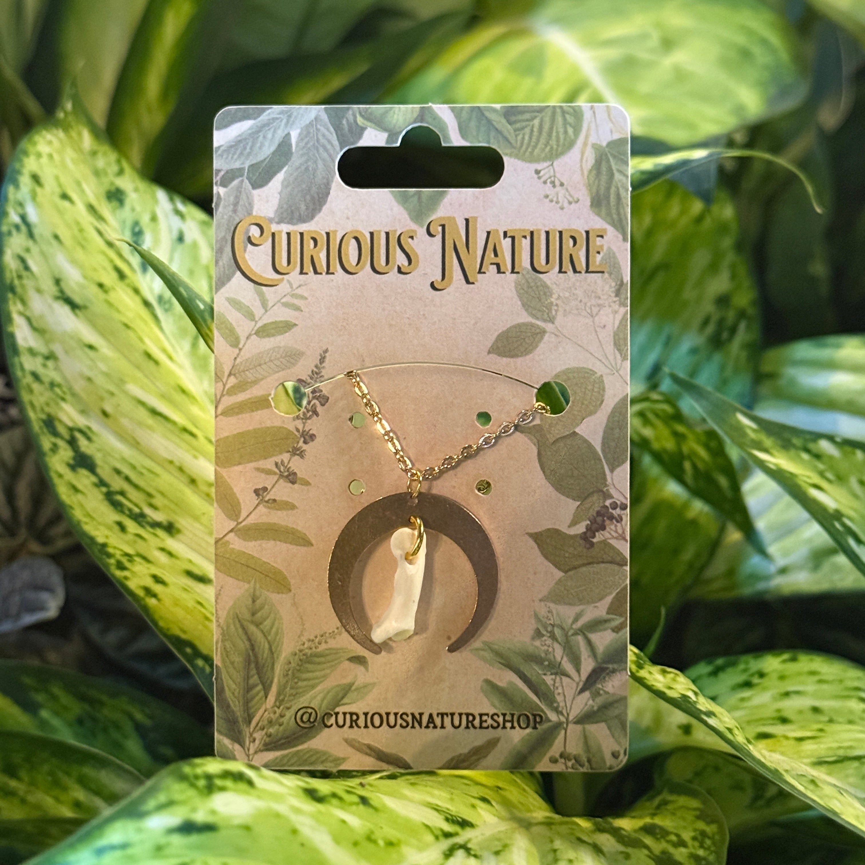 Bobcat Toe Bone Crescent Moon Necklace