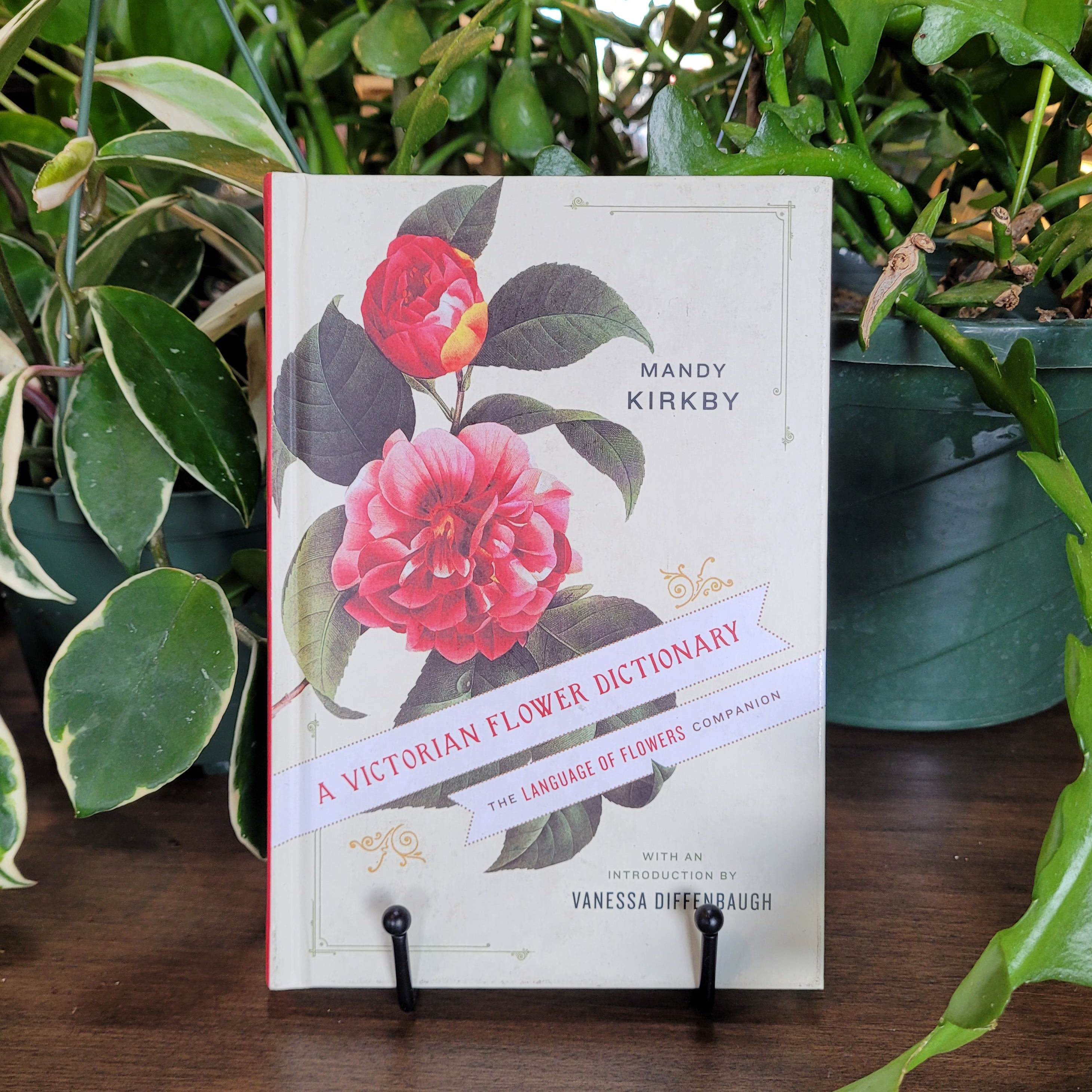 Language Of Flowers Book Dictionary | Best Flower Site