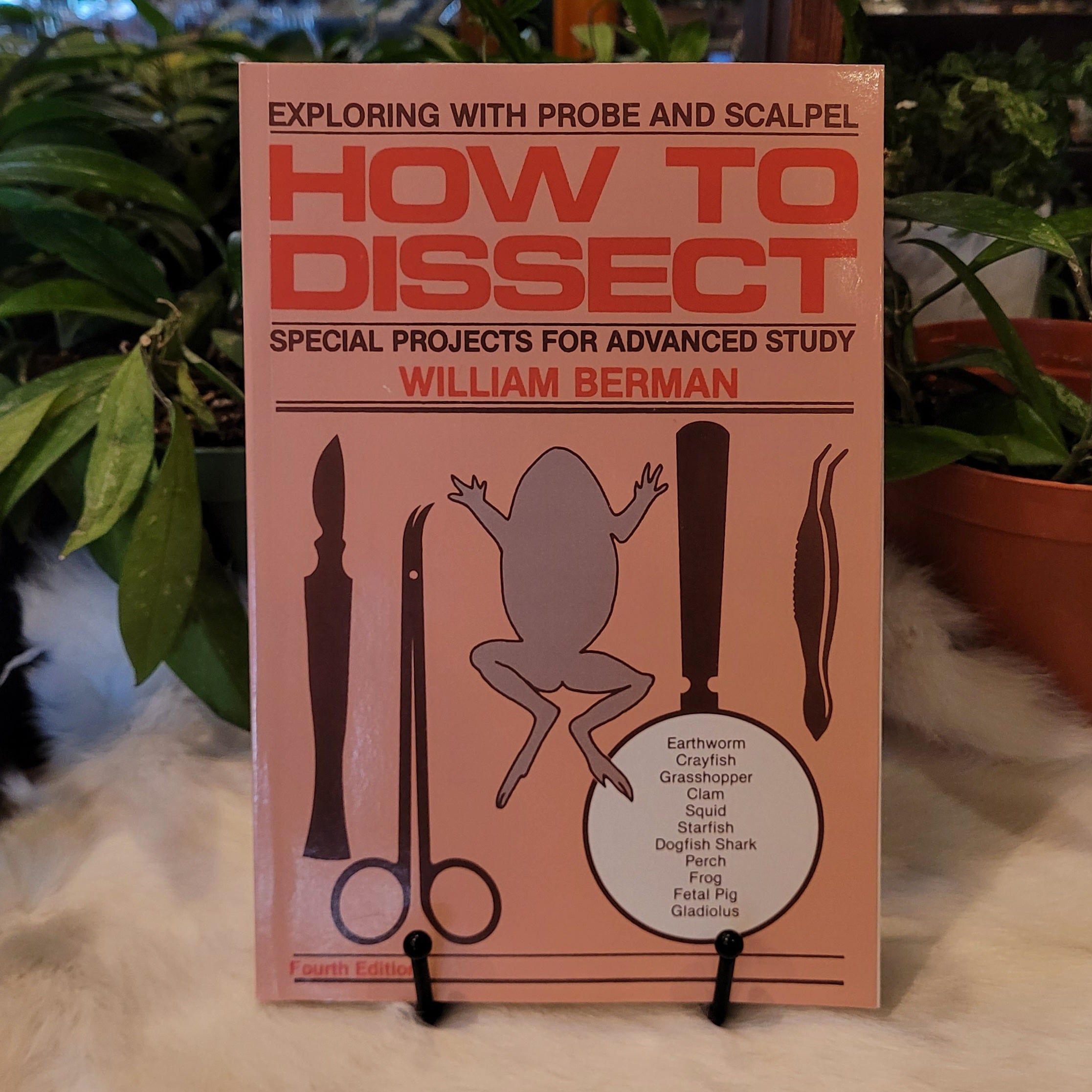 How to Dissect: Exploring With Probe and Scalpel - Special Projects fo