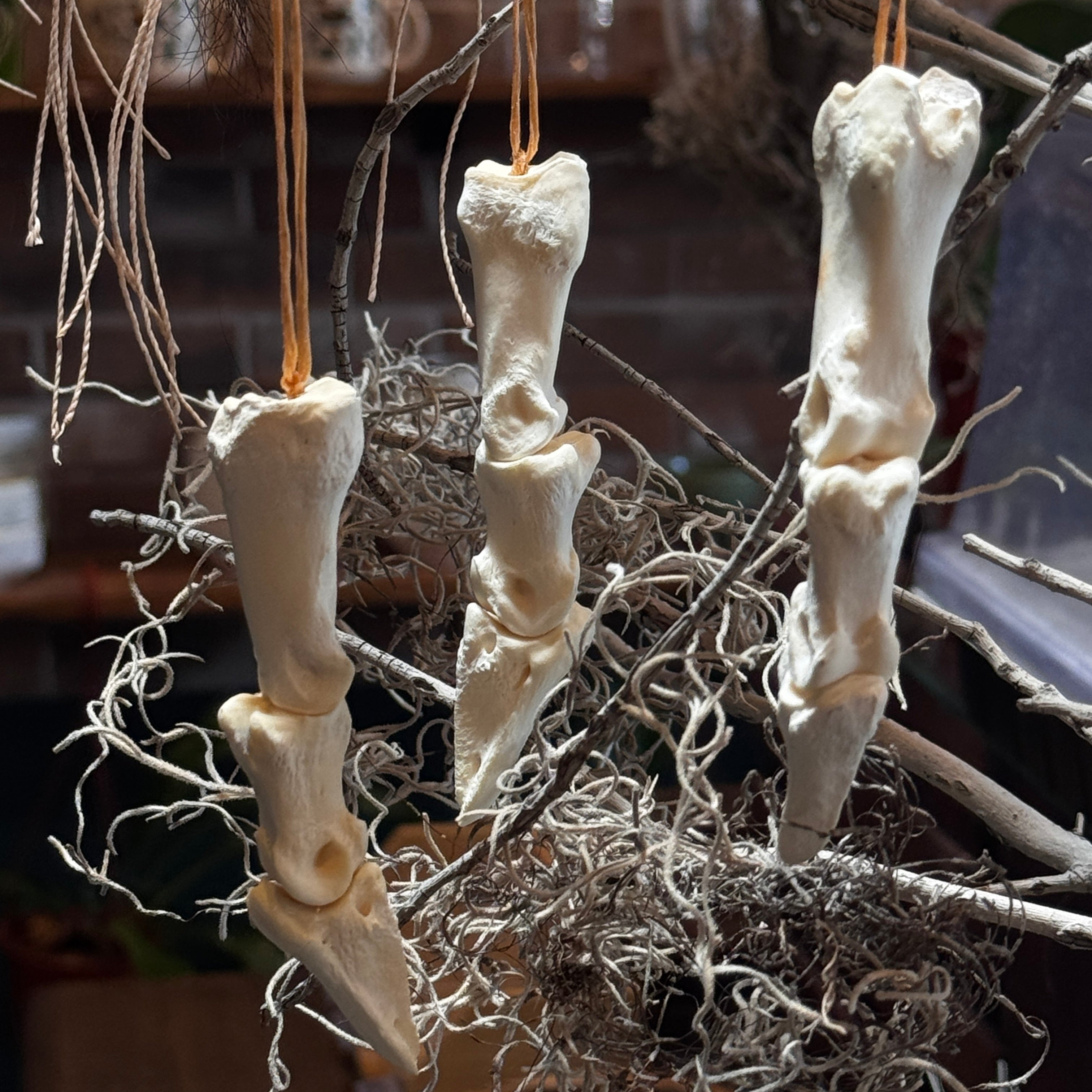 Articulated Deer Toe