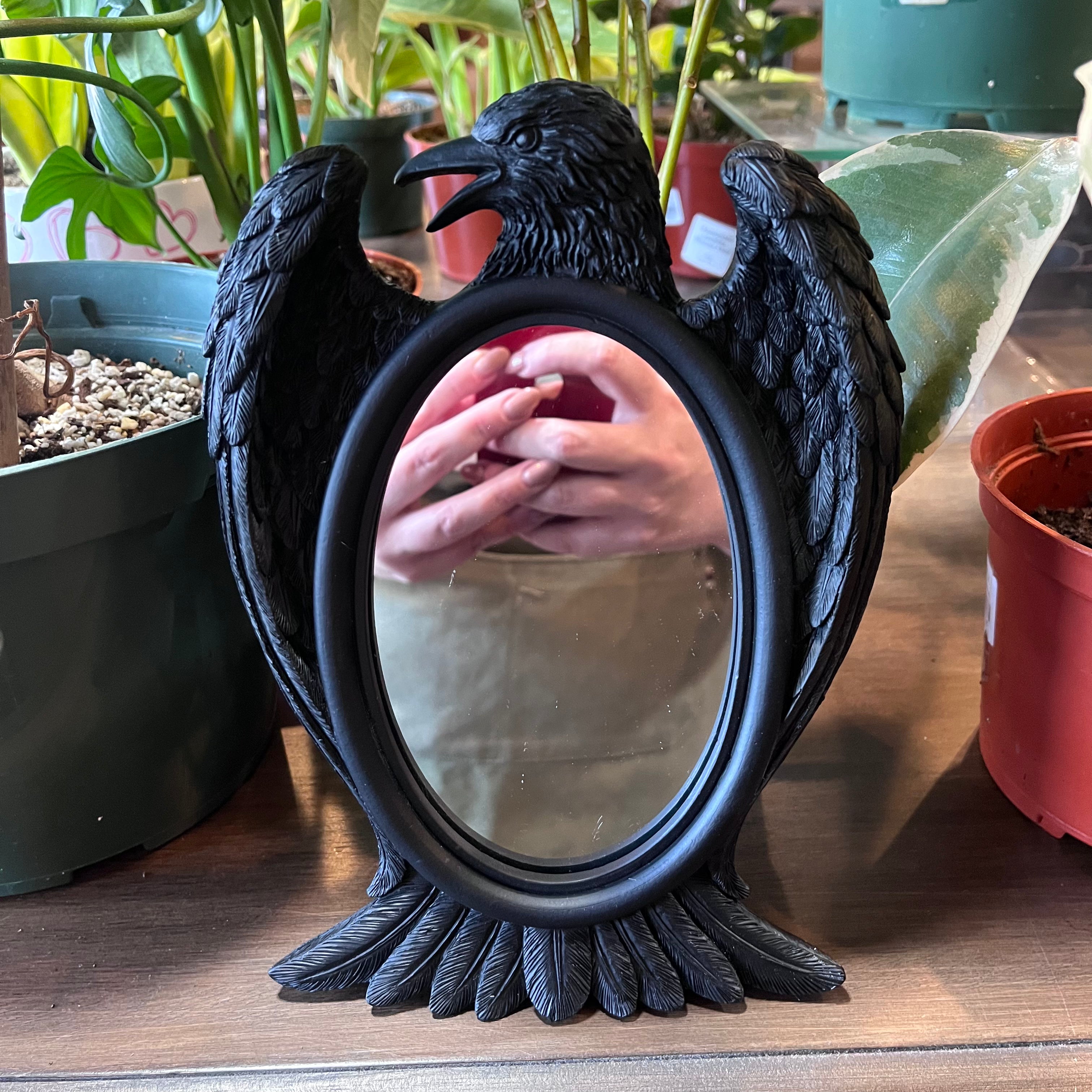 Black Raven Mirror