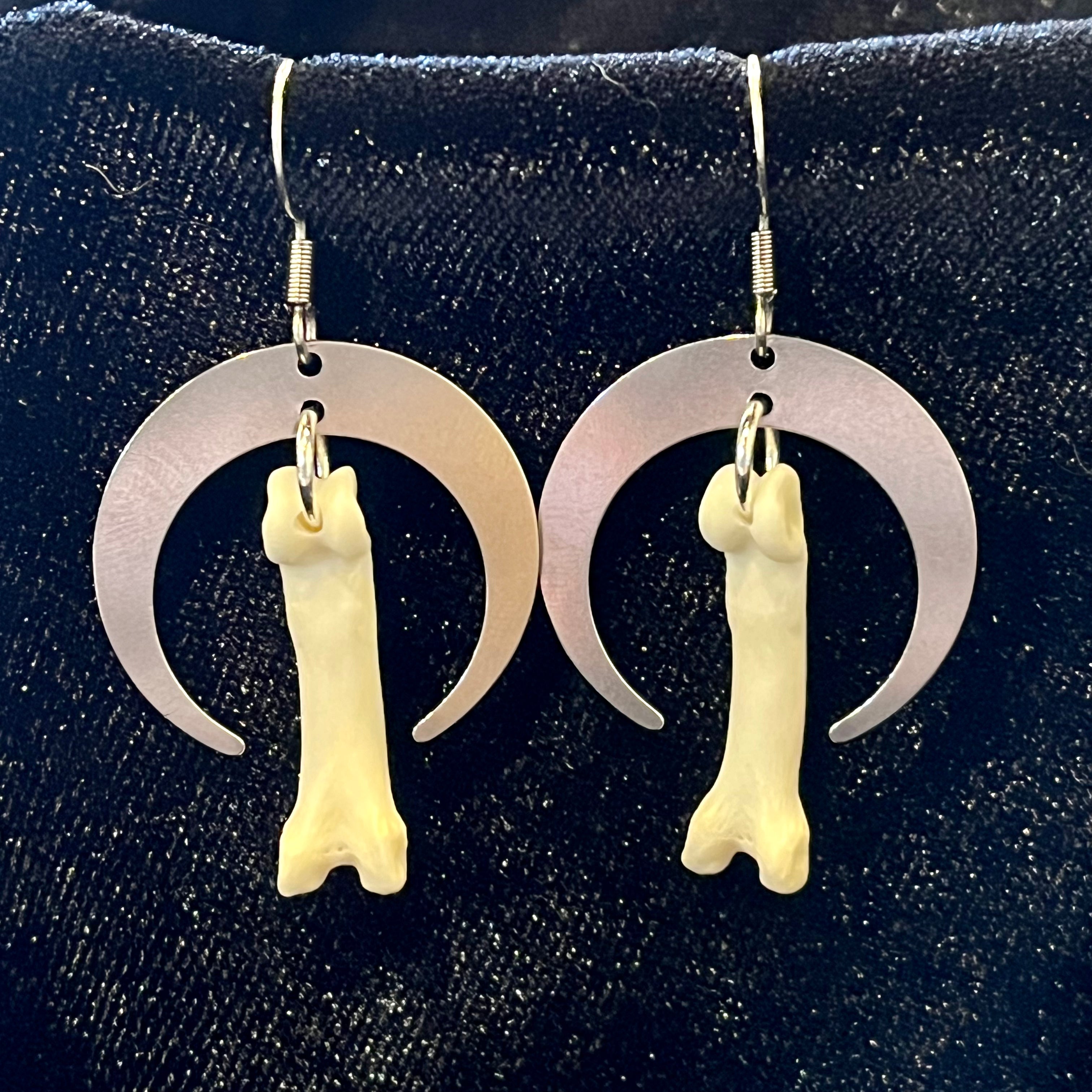 Bobcat Toe Bone Crescent Moon Earrings