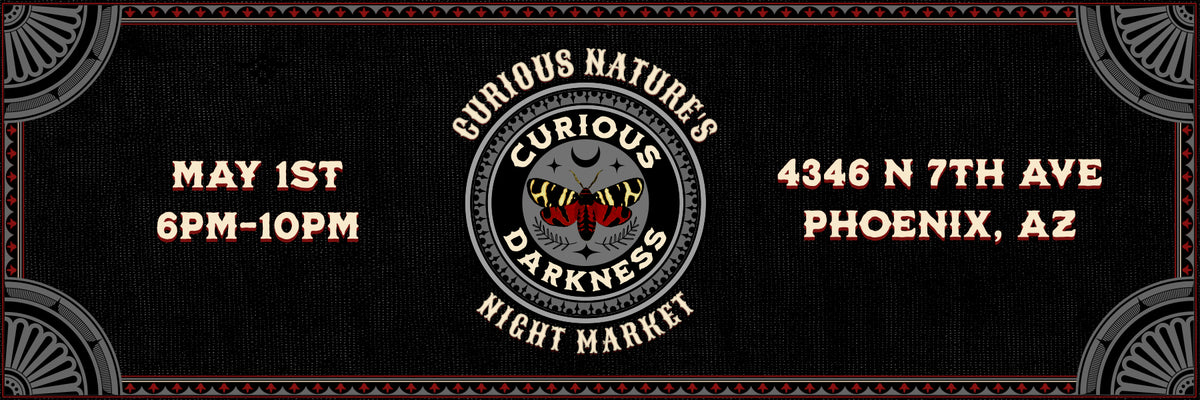 Curious Nature