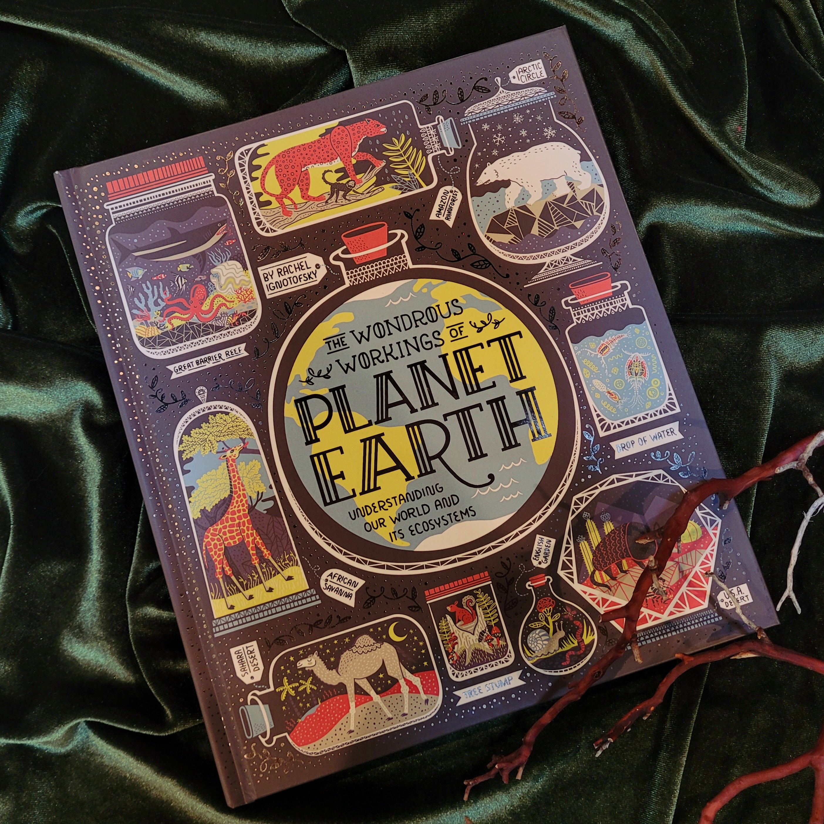 The Wondrous Workings of Planet Earth: Understanding Our World and Its