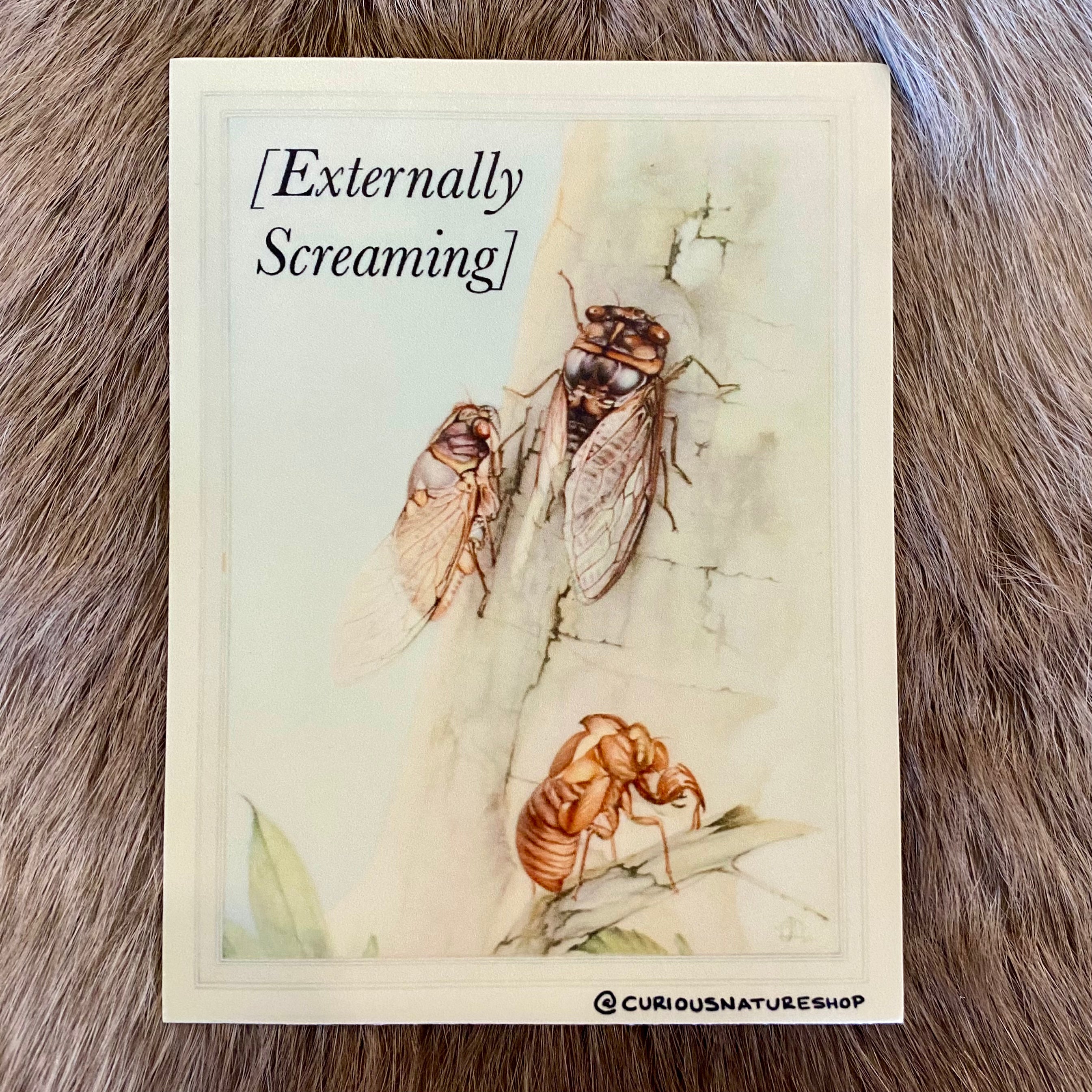 Externally Screaming Sticker