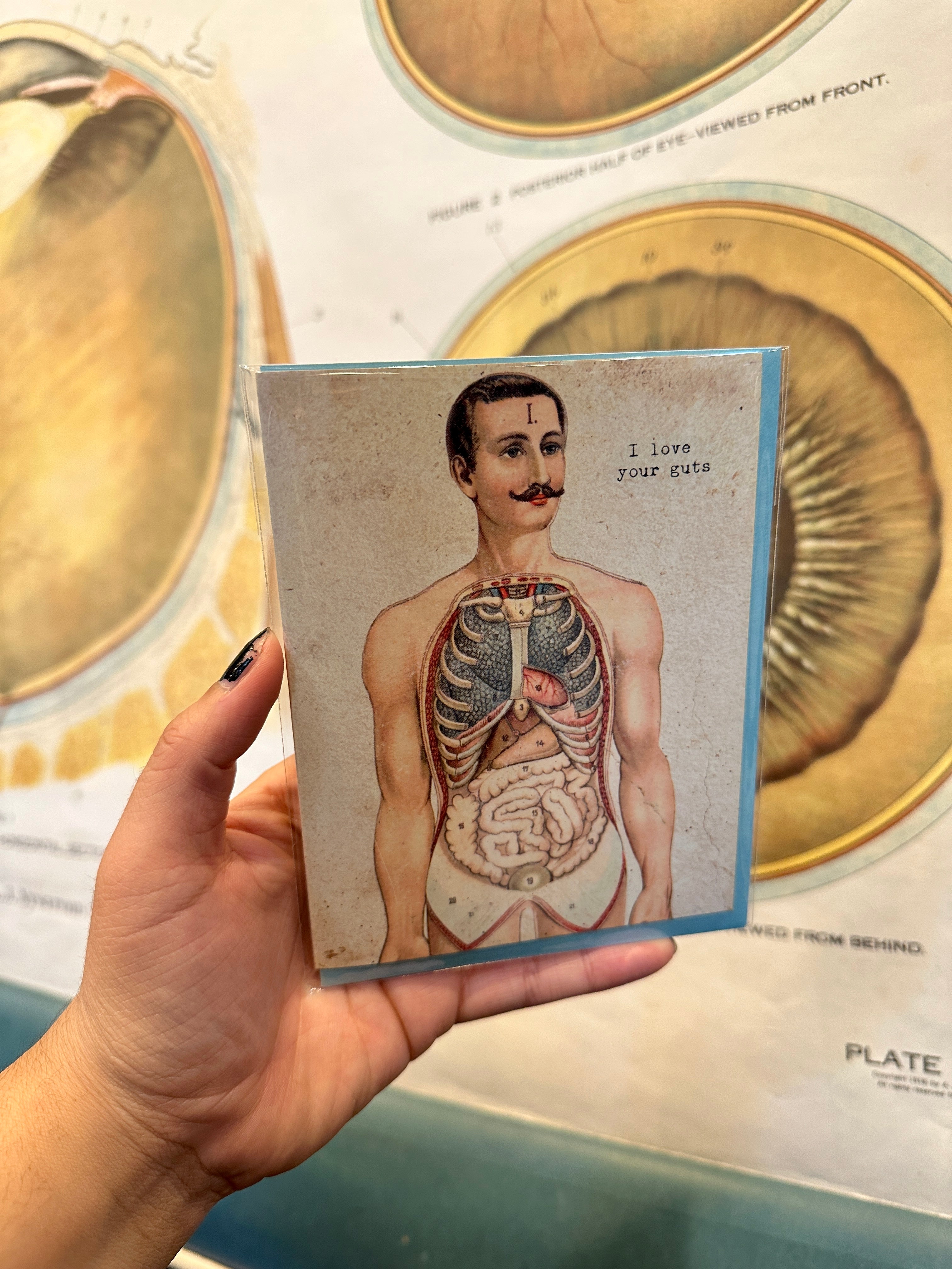 I Love Your Guts Greeting Card