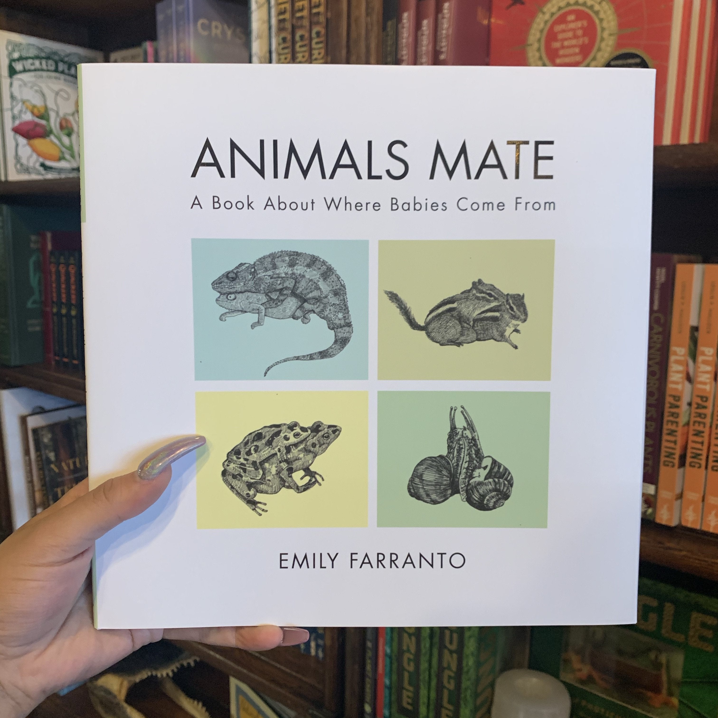 Animals Mate: A Book About Where Babies Come From By Emily Farranto