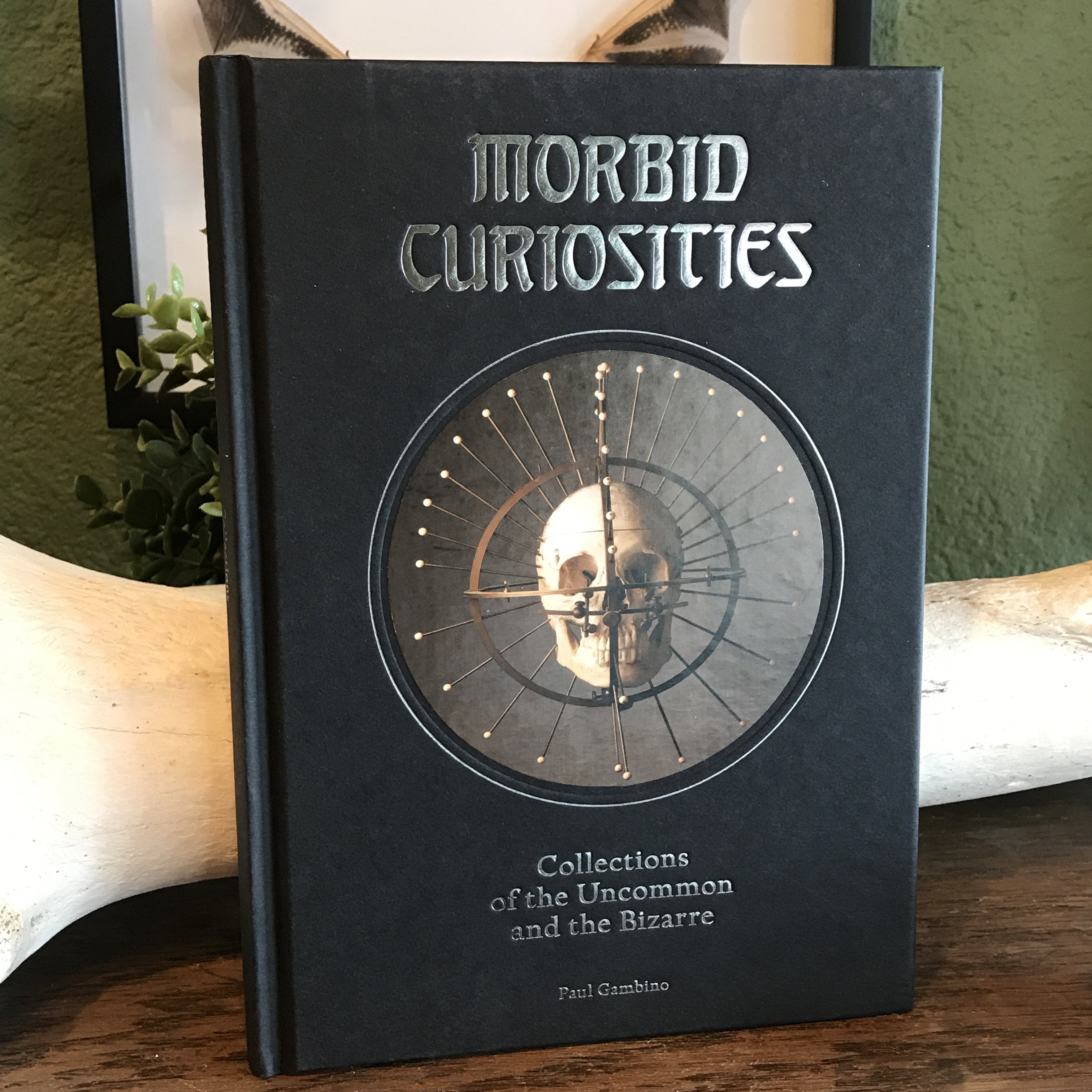 Morbid Curiosities: Collections of the Uncommon and the Bizarre by Pau
